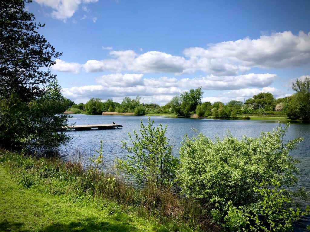 Fishing Report 15th May | Sportfish Game Fishing Centre - Berkshire