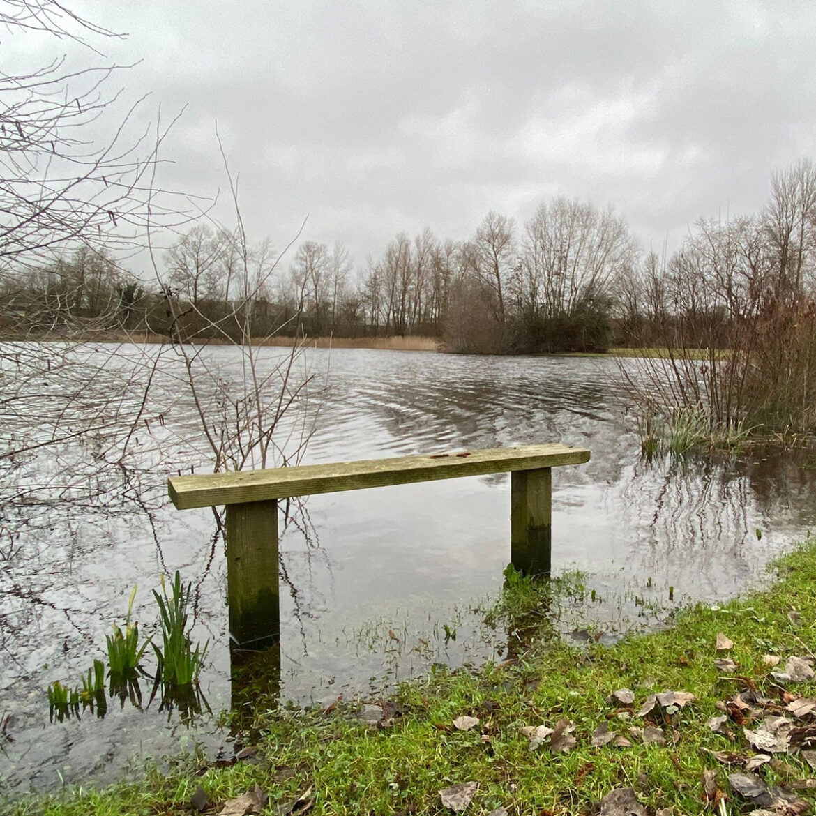 Fishery Reopening 17th February | Sportfish Game Fishing Centre - Berkshire