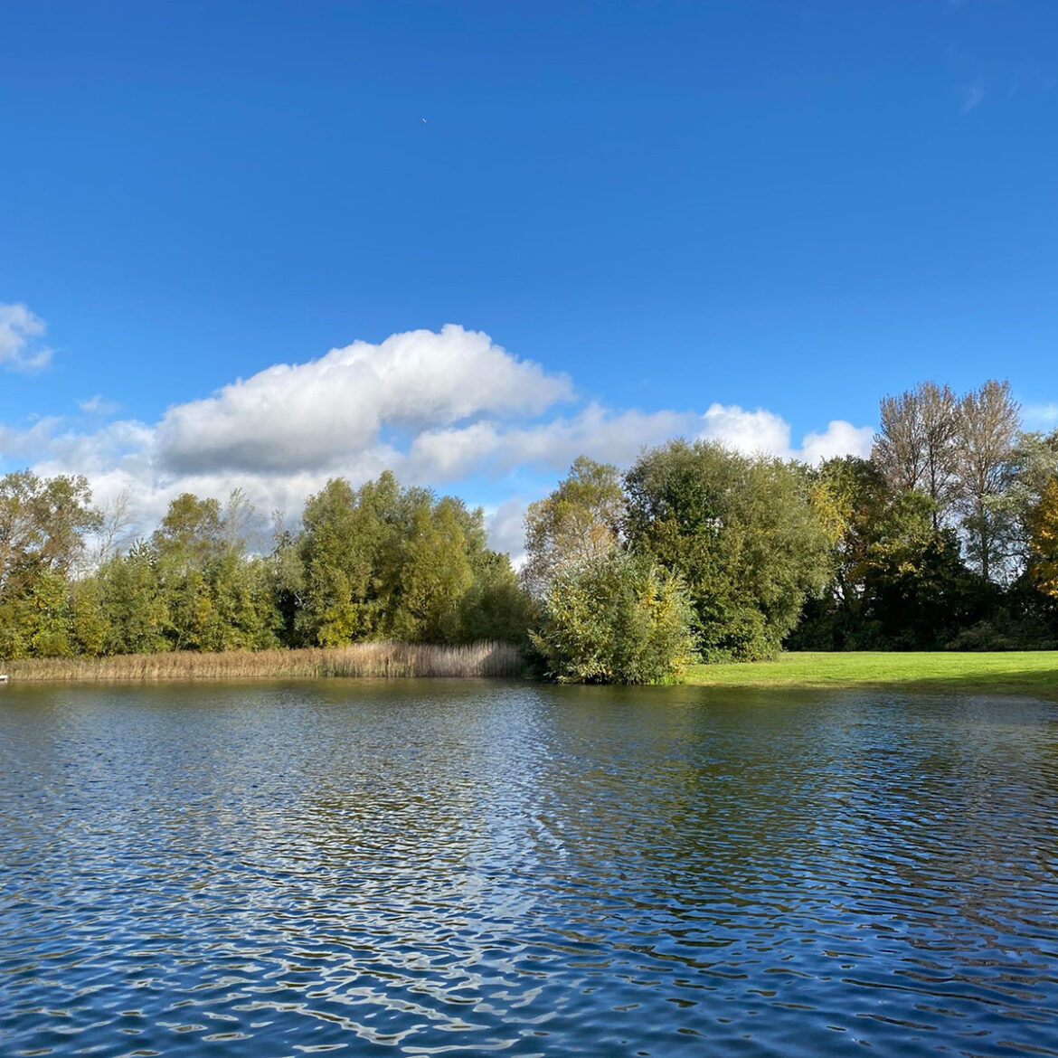 Fishery Reopens | Sportfish Game Fishing Centre - Berkshire